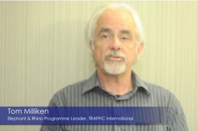 Oxpeckers talks to Traffic’s Tom Milliken about China’s role in rhino ...