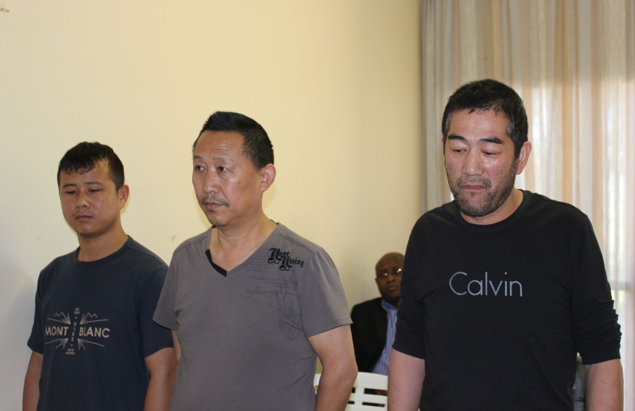 Who are Namibia’s Chinese smugglers? - Oxpeckers