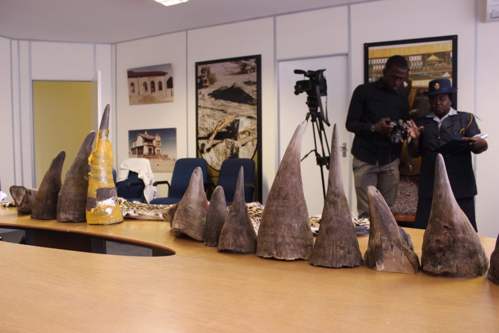 Inner workings of a Chinese poaching syndicate - Oxpeckers