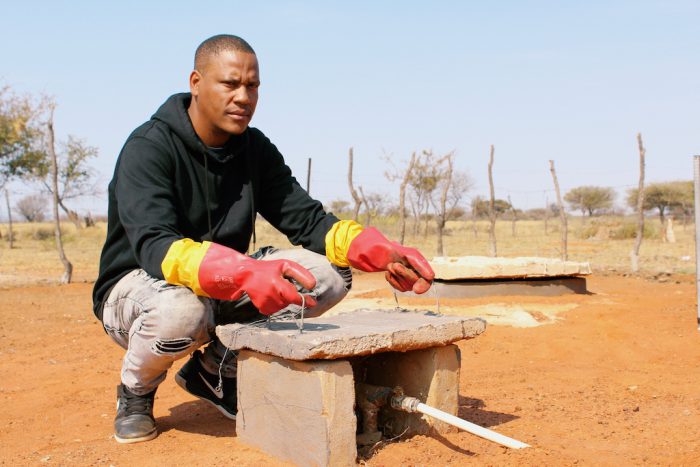 Biogas power raises hot air in Botswana - Oxpeckers