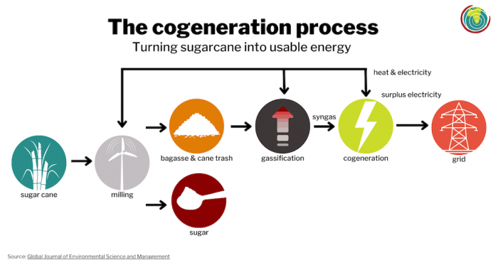 Sweet and sour future for sugar power - Oxpeckers
