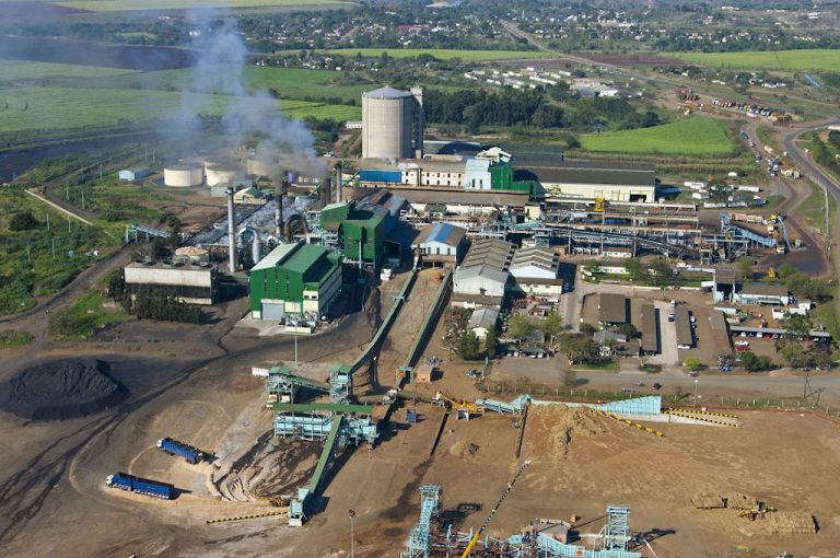 Sweet and sour future for sugar power - Oxpeckers